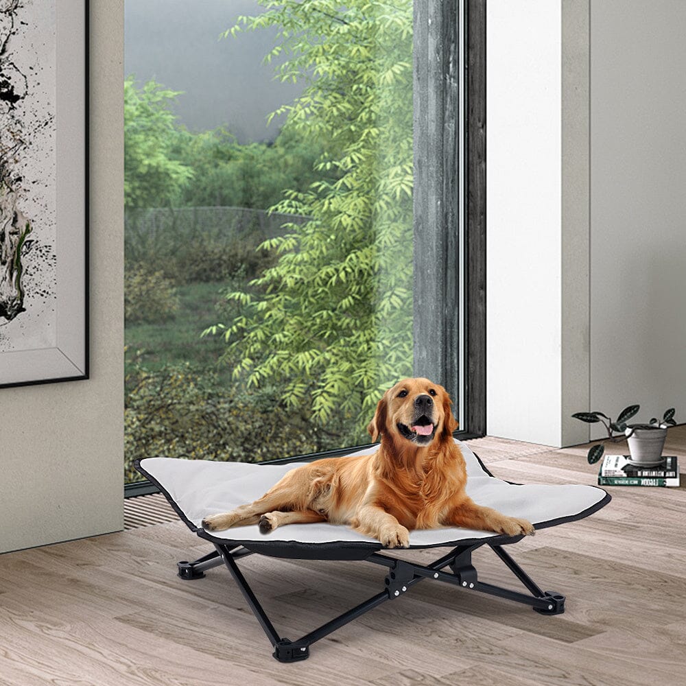 Portable Raised Pet Cot – Living and Home