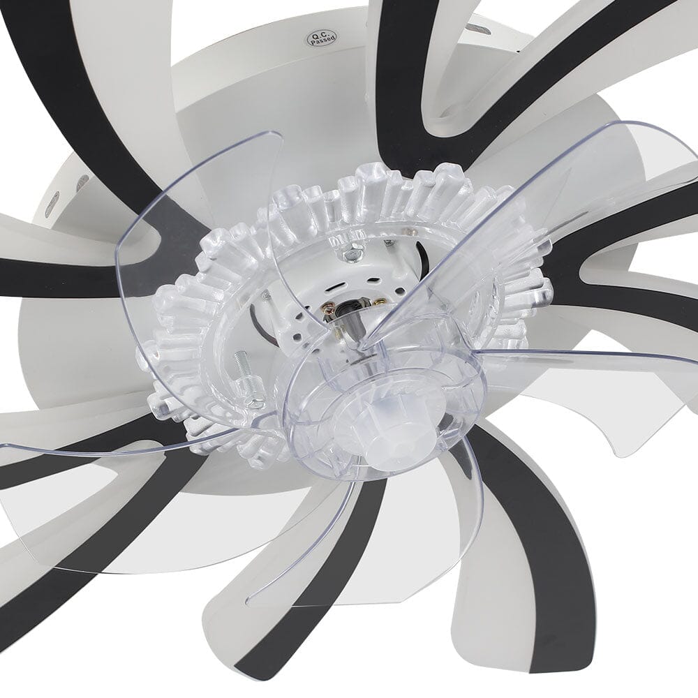 78cm Dia. Acrylic Creative Ceiling Fan with LED Lights – Living and Home