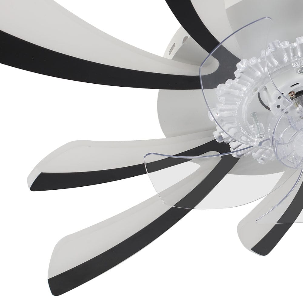 78cm Dia. Acrylic Creative Ceiling Fan with LED Lights – Living and Home