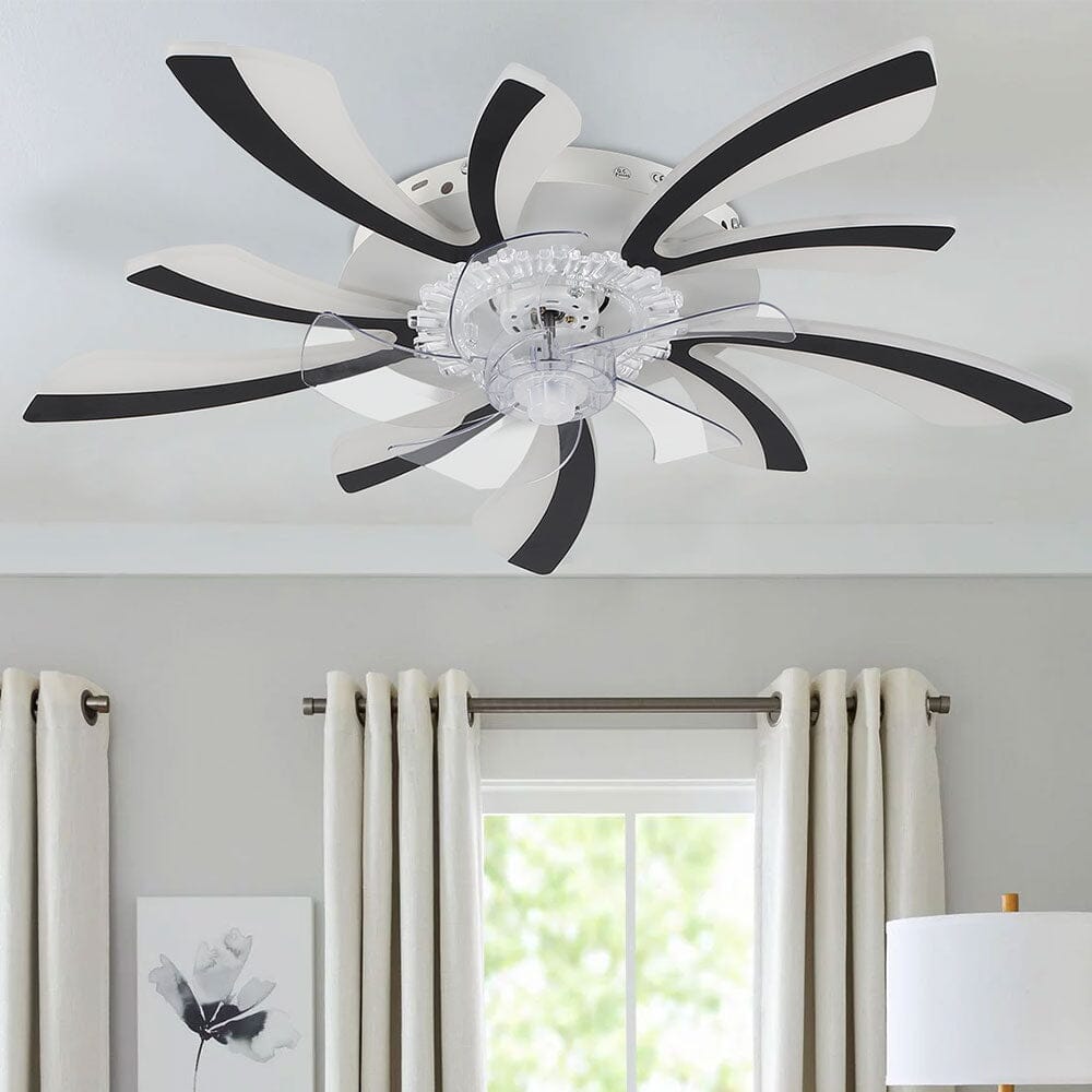 78cm Dia. Acrylic Creative Ceiling Fan with LED Lights – Living and Home