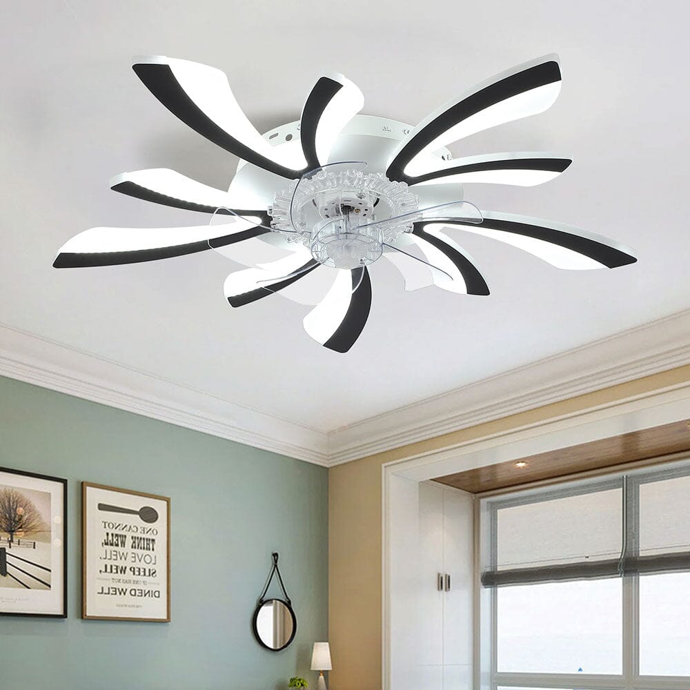 78cm Dia. Acrylic Creative Ceiling Fan with LED Lights – Living and Home