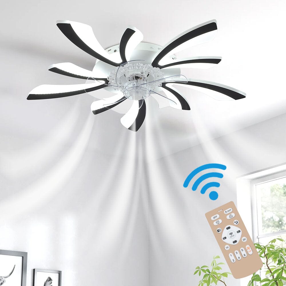78cm Dia. Acrylic Creative Ceiling Fan with LED Lights – Living and Home
