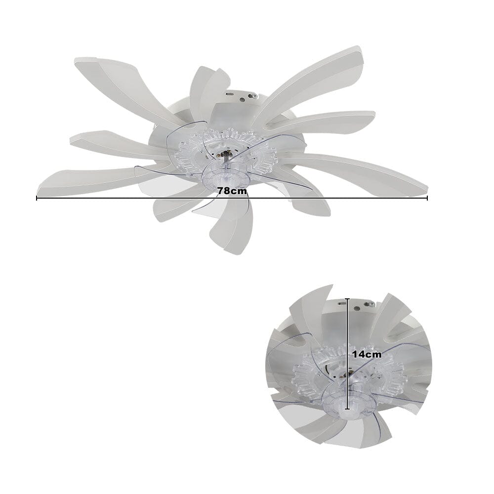 78cm Dia. Acrylic Creative Ceiling Fan with LED Lights – Living and Home