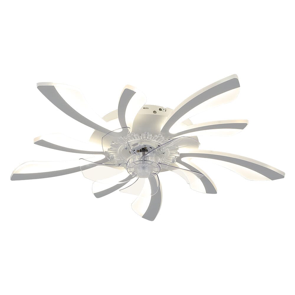 78cm Dia. Acrylic Creative Ceiling Fan with LED Lights – Living and Home