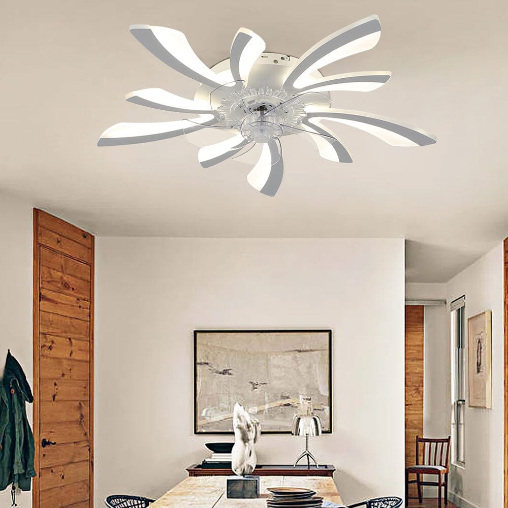 78cm Dia. Acrylic Creative Ceiling Fan with LED Lights – Living and Home