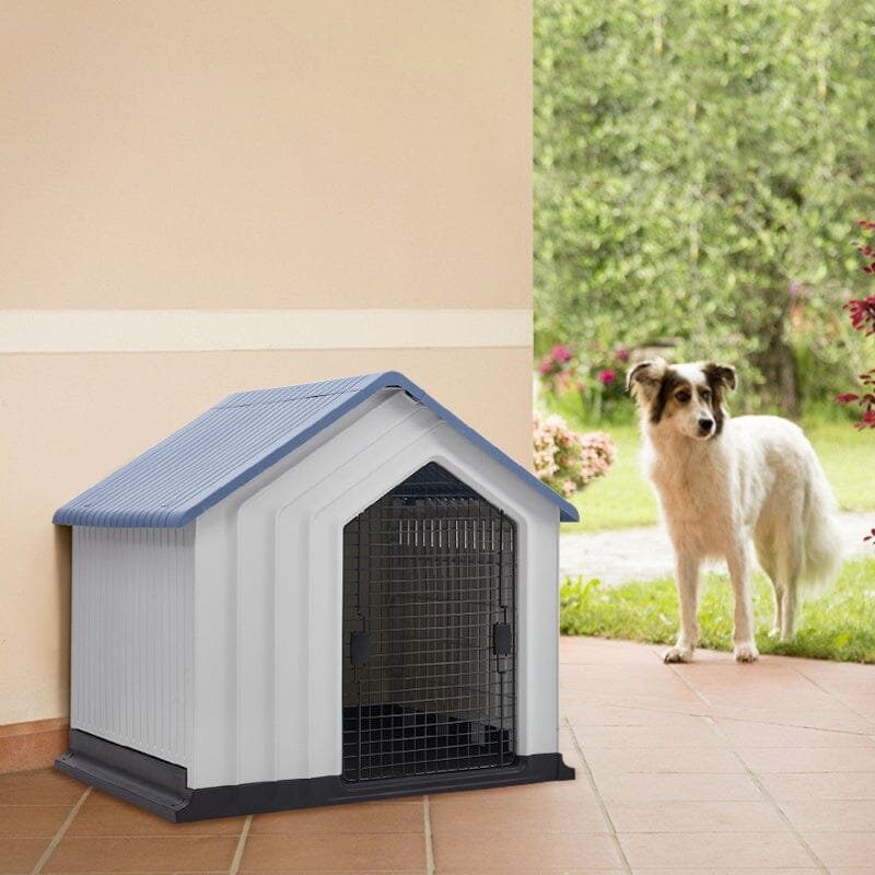 Small Blue Plastic Pet House with Iron Door – Living and Home